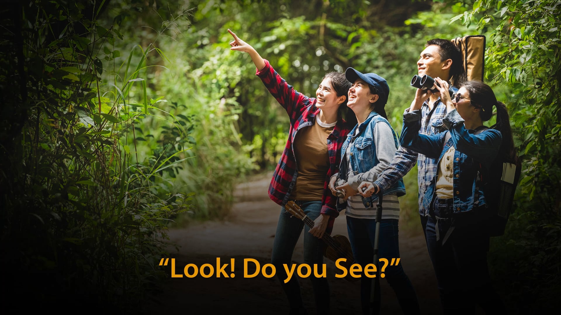 Study with Frank - Look! Do You See ...? - Study English with Us