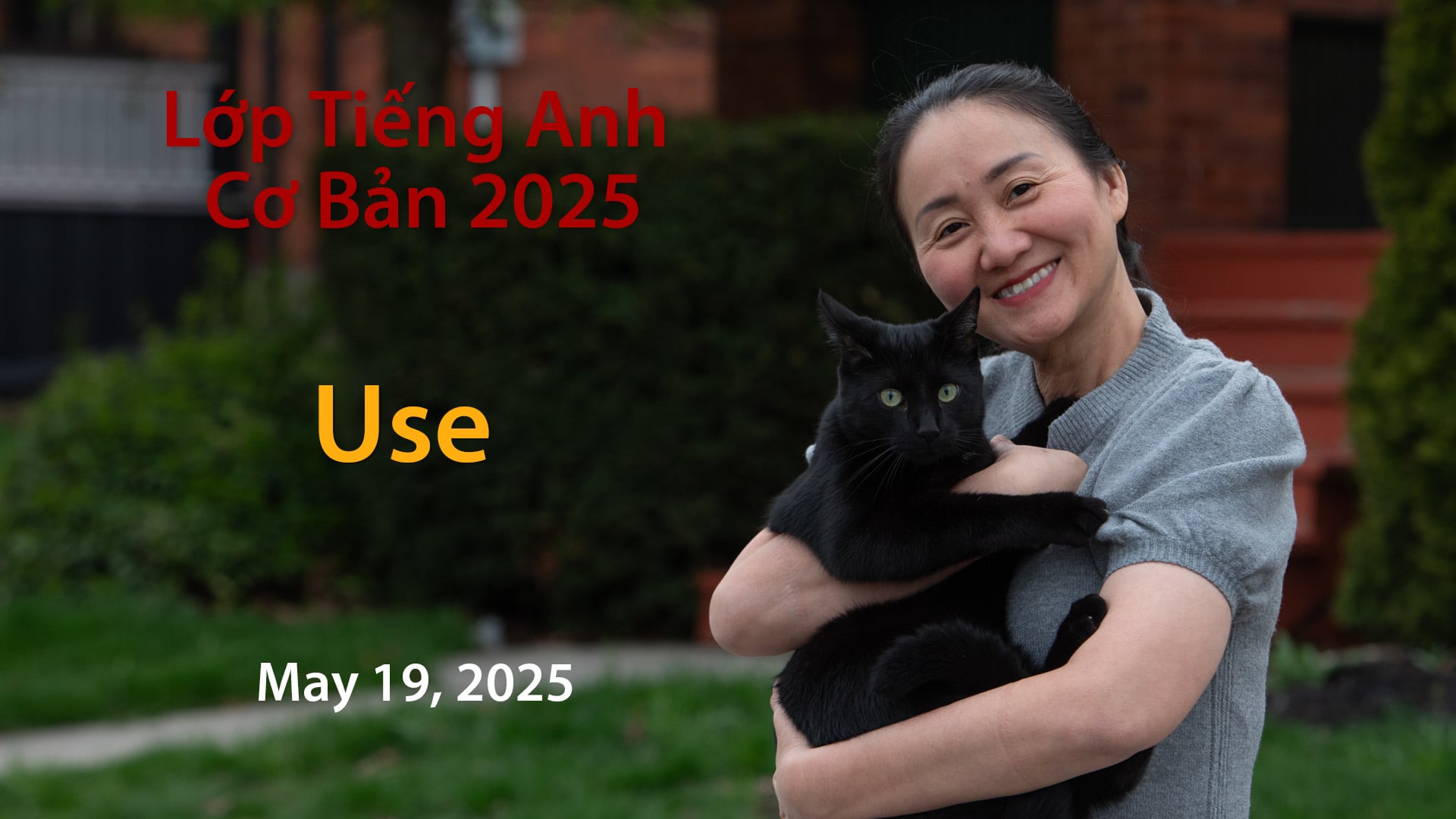 Basic English Class - Use - Study English with Us